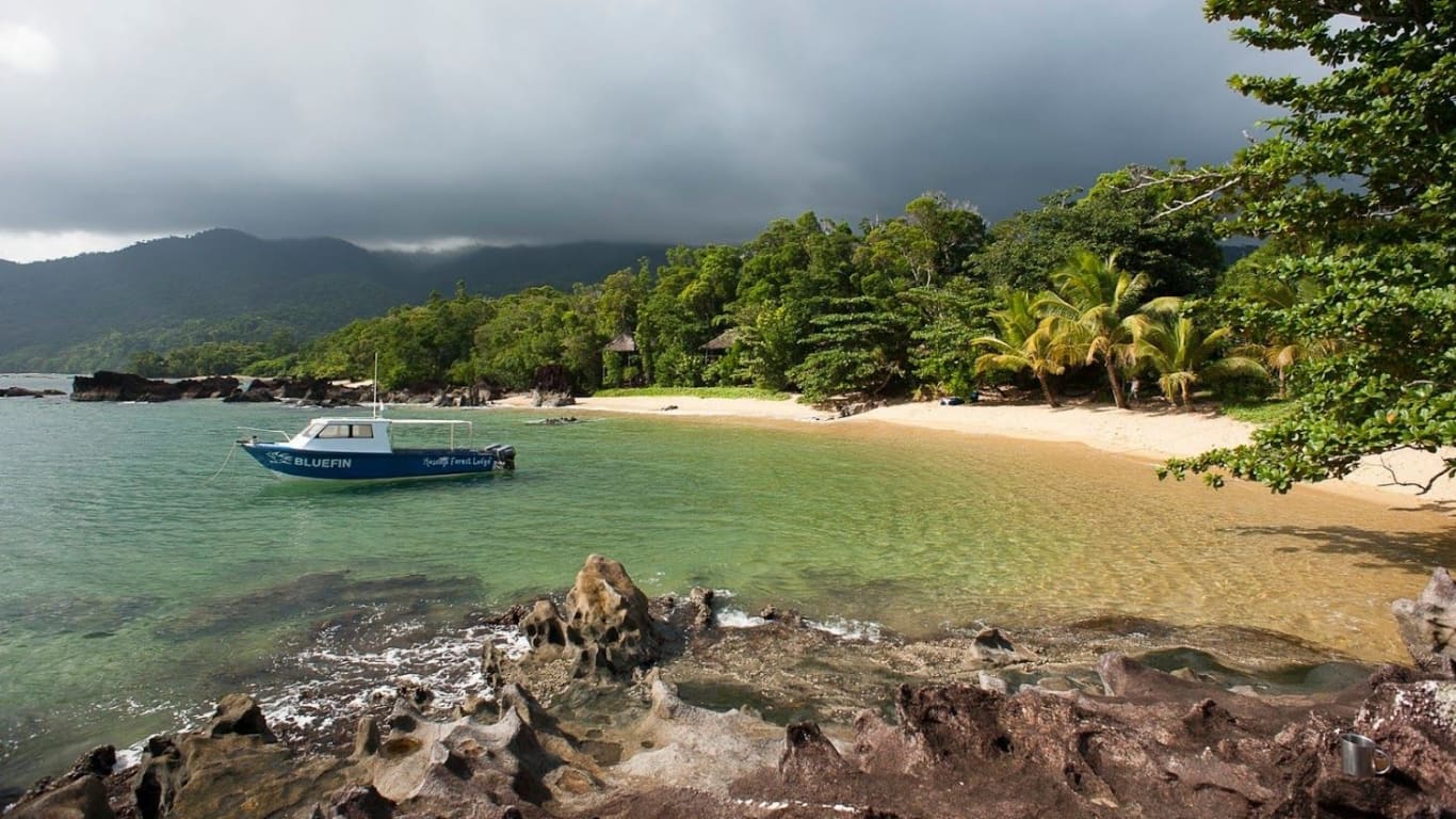 Rainforests of Madagascar: Masoala & Andasibe National Park ...