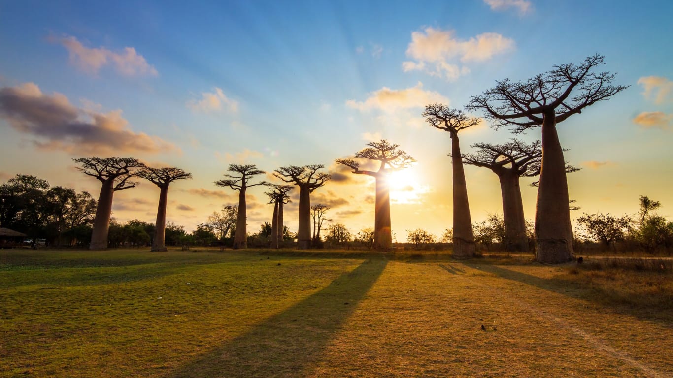 Madagascar Tours | Best Madagascar Tours & Package Tours