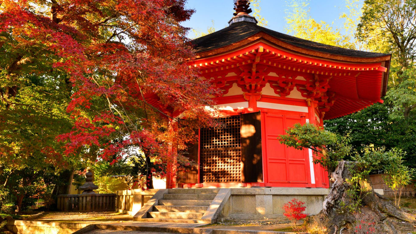 Japan Luxury Travels | Best Japan Luxury Travels & Package Tours