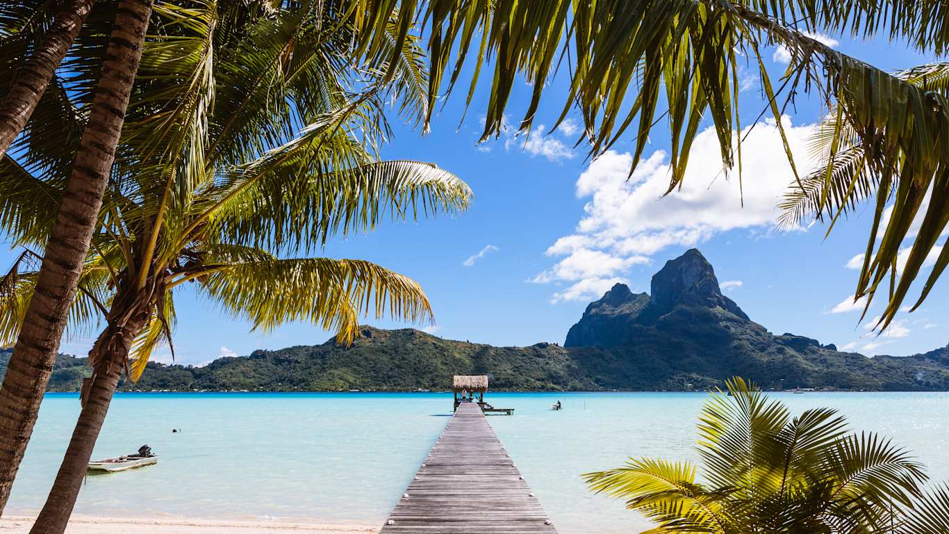 National Geographic Wallpaper Island French Polynesia Swimming With