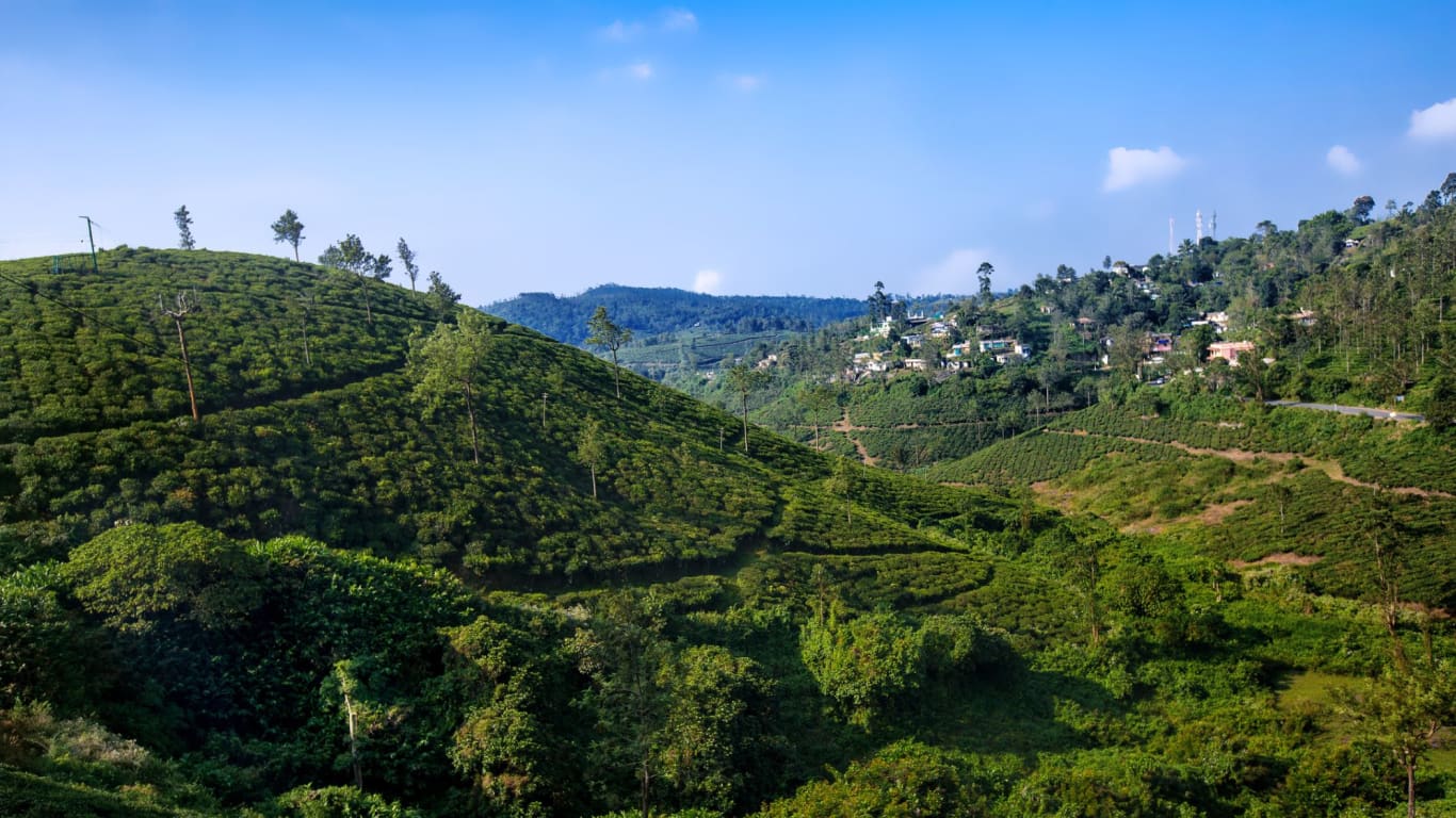 Thekkady Tours | Best Thekkady Tours & Package Tours