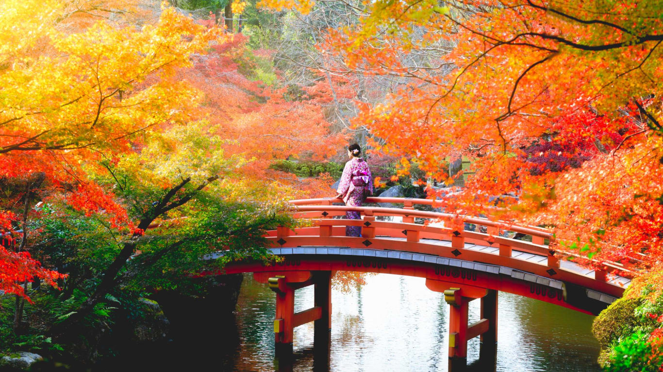 Japan Tours | Best Japan Tours & Package Tours
